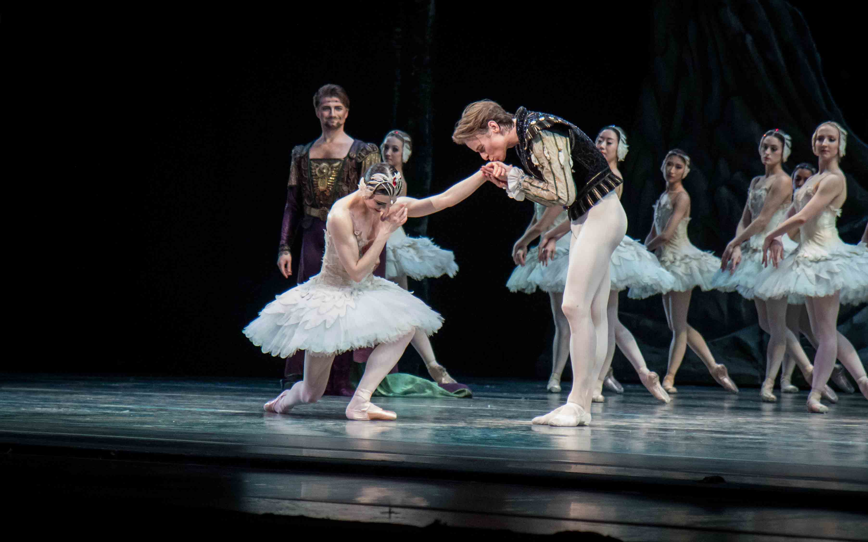 ABT Swan Lake Review: Sarah Lane Debut - Ballet Focus